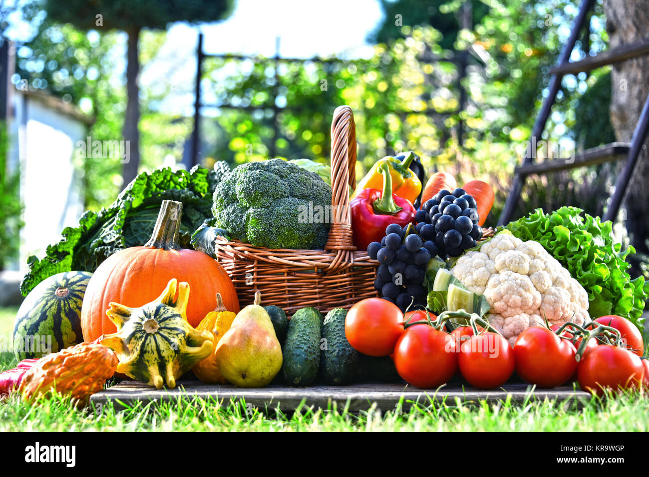 Variety of fresh organic vegetables and fruits in the garden Stock ...