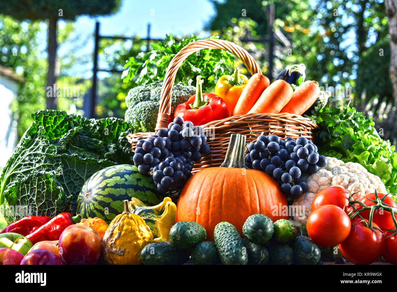 Variety of fresh organic vegetables and fruits in the garden Stock ...