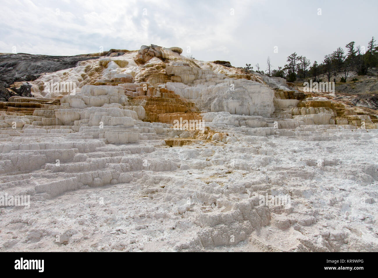 palette spring 7 Stock Photo - Alamy
