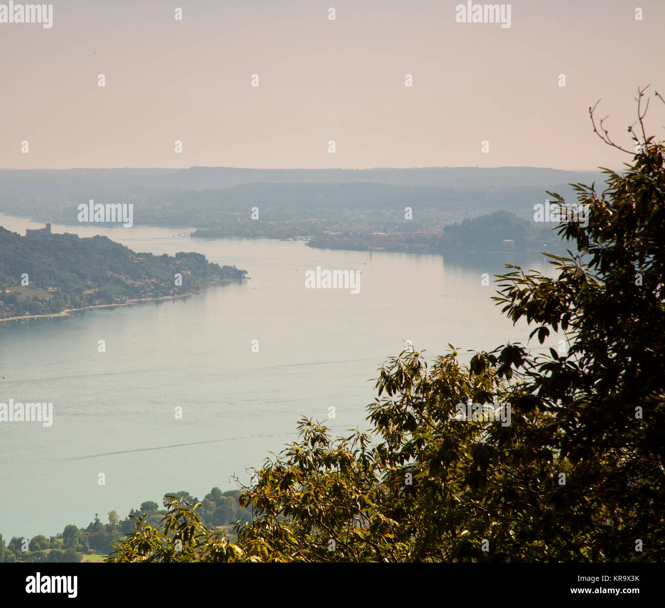 Lake view with trees Stock Photo - Alamy