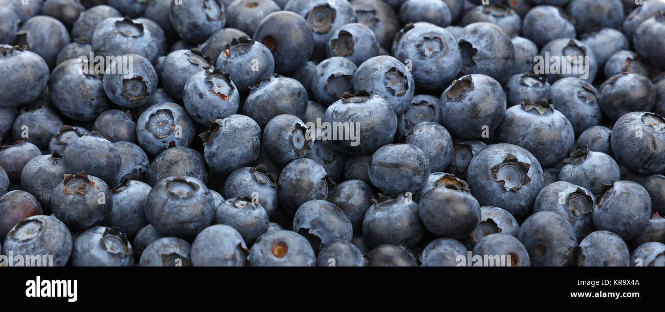 Background of fresh blueberry close up Stock Photo - Alamy