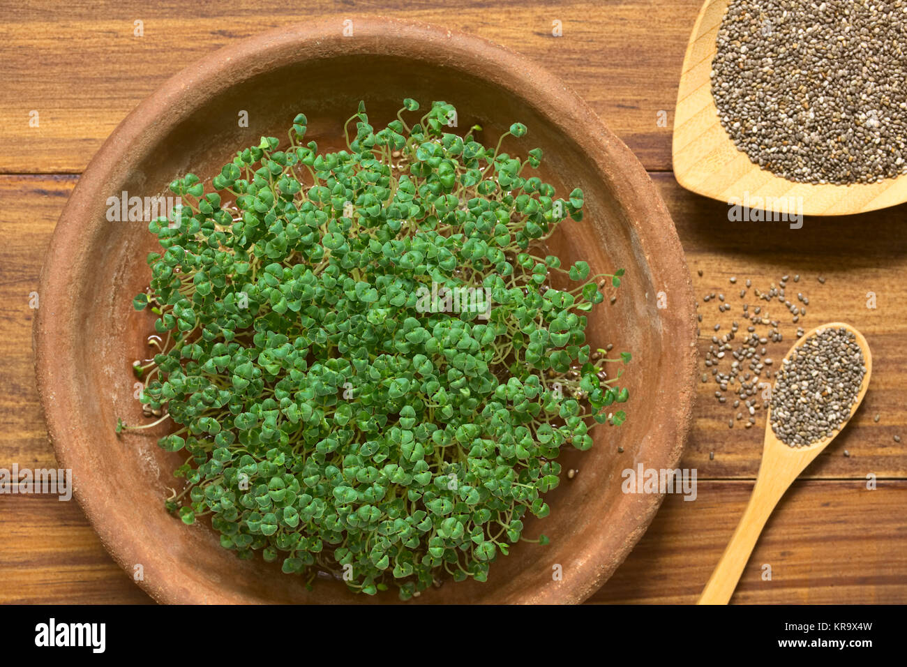 Chia seed plant hi-res stock photography and images - Alamy