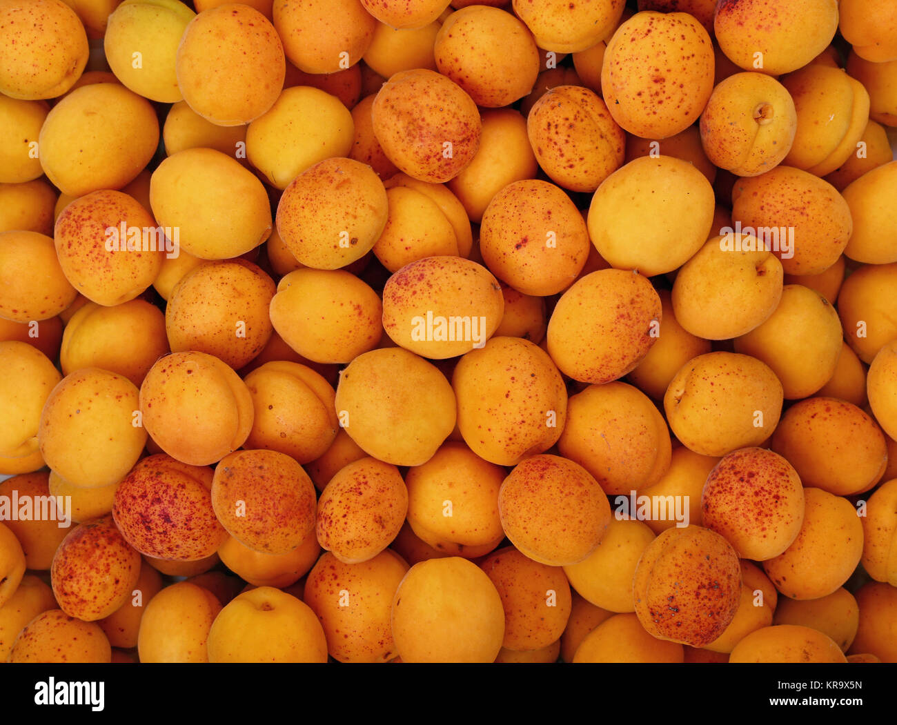 Background of fresh ripe apricots close up Stock Photo - Alamy