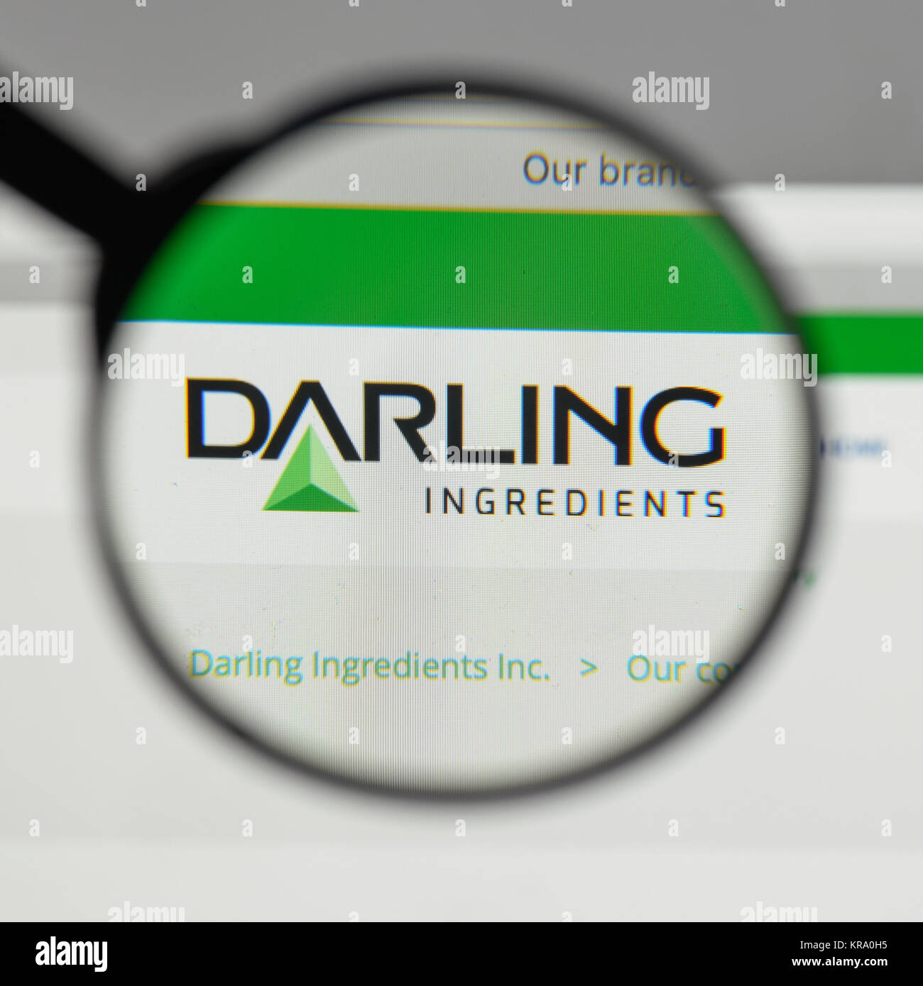 Milan, Italy - August 10, 2017: Darling Ingredients logo on the website ...