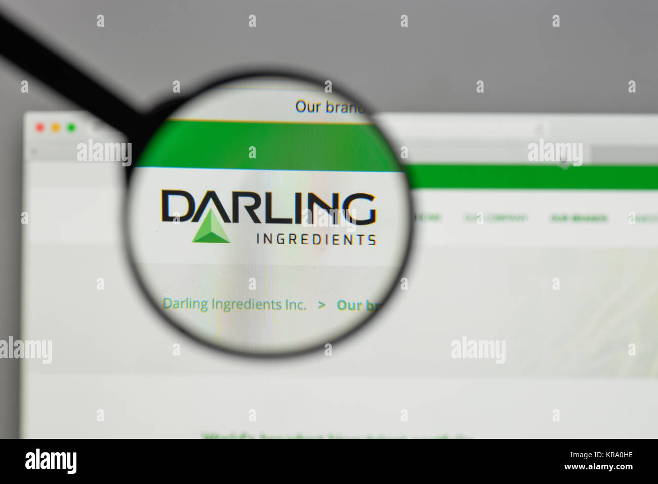 Milan, Italy - August 10, 2017: Darling Ingredients logo on the website ...