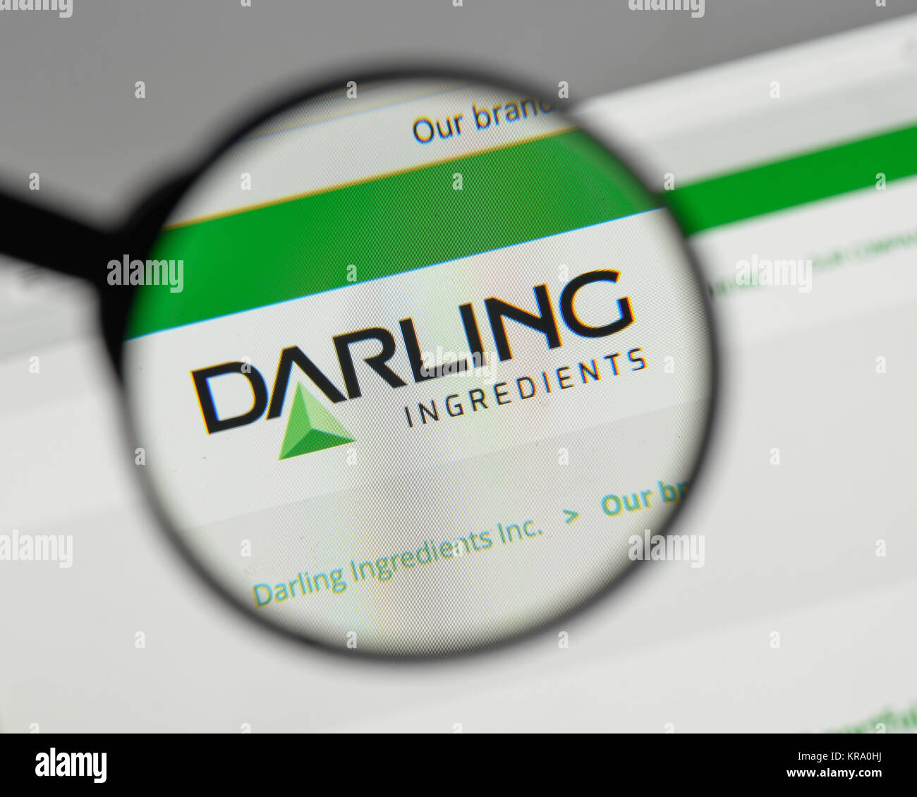 Milan, Italy - August 10, 2017: Darling Ingredients logo on the website ...