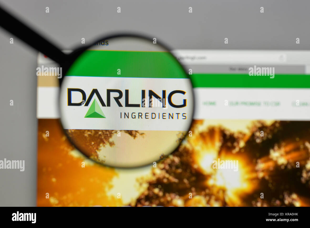 Milan, Italy - August 10, 2017: Darling Ingredients logo on the website ...