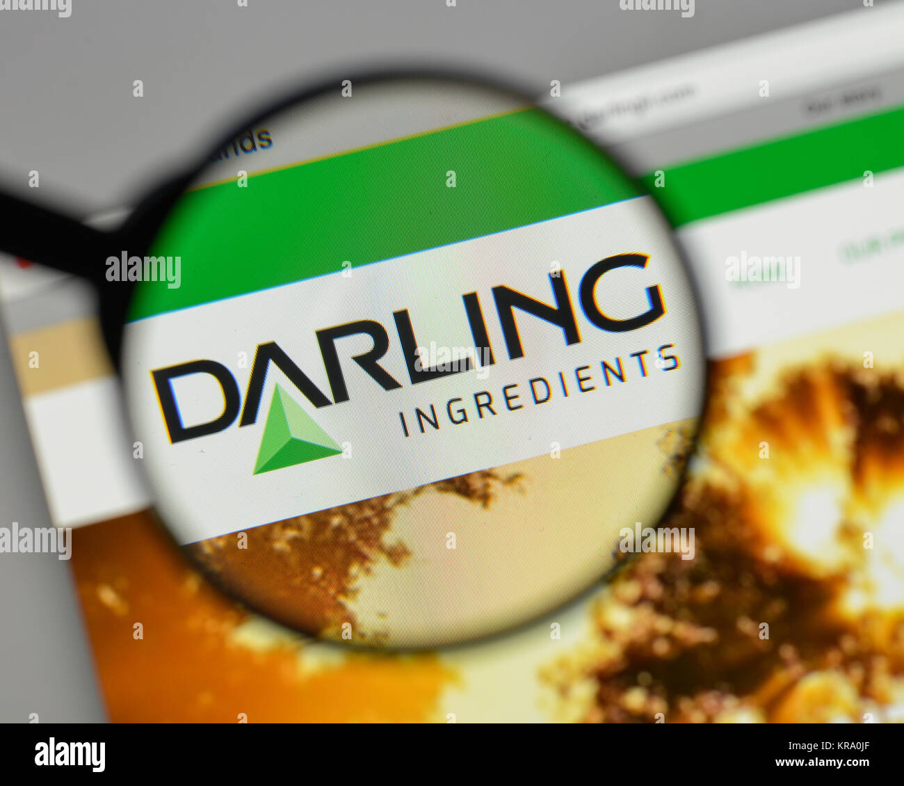 Milan, Italy - August 10, 2017: Darling Ingredients logo on the website ...