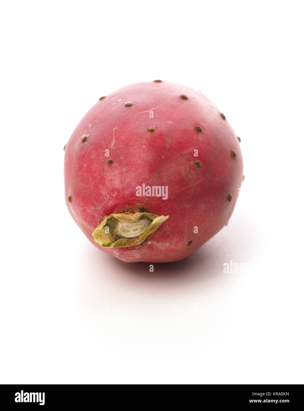 Close up of a sweet prickly pear on a white studio background Stock ...