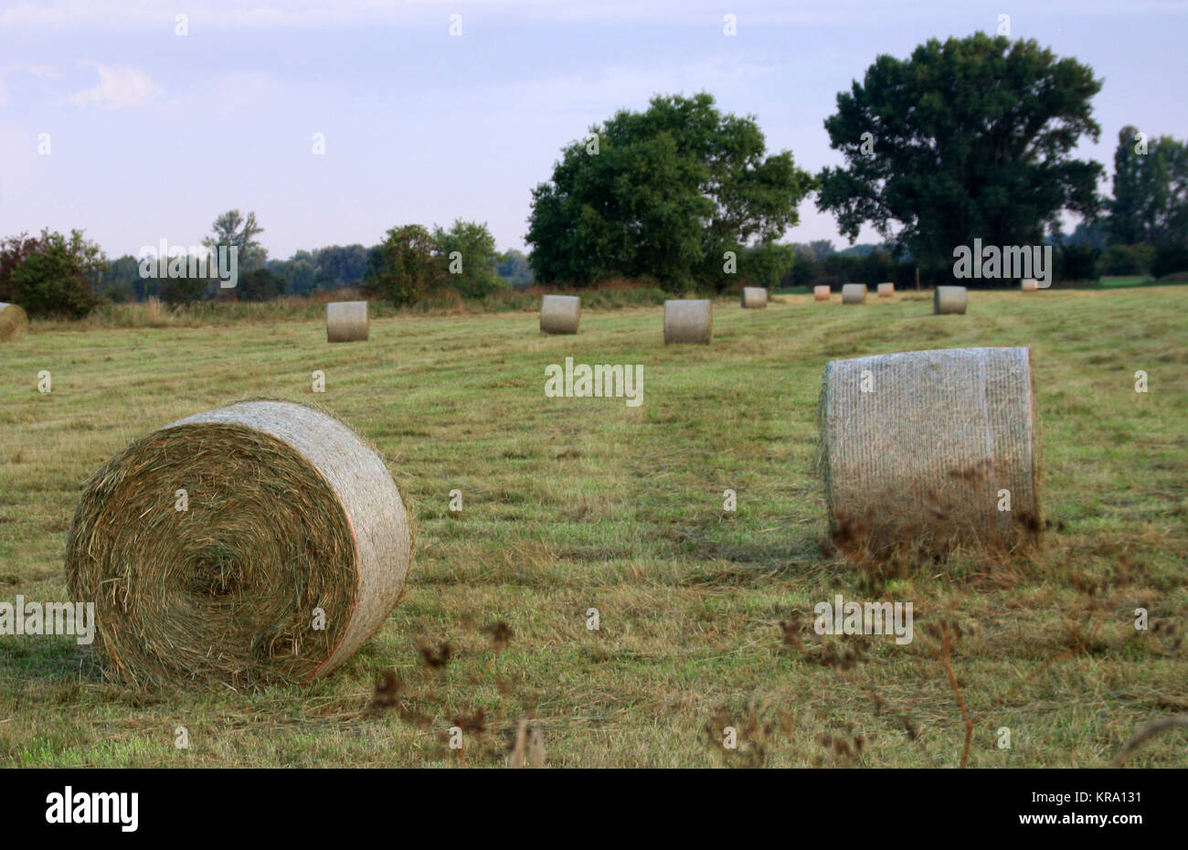hay - turning Stock Photo - Alamy