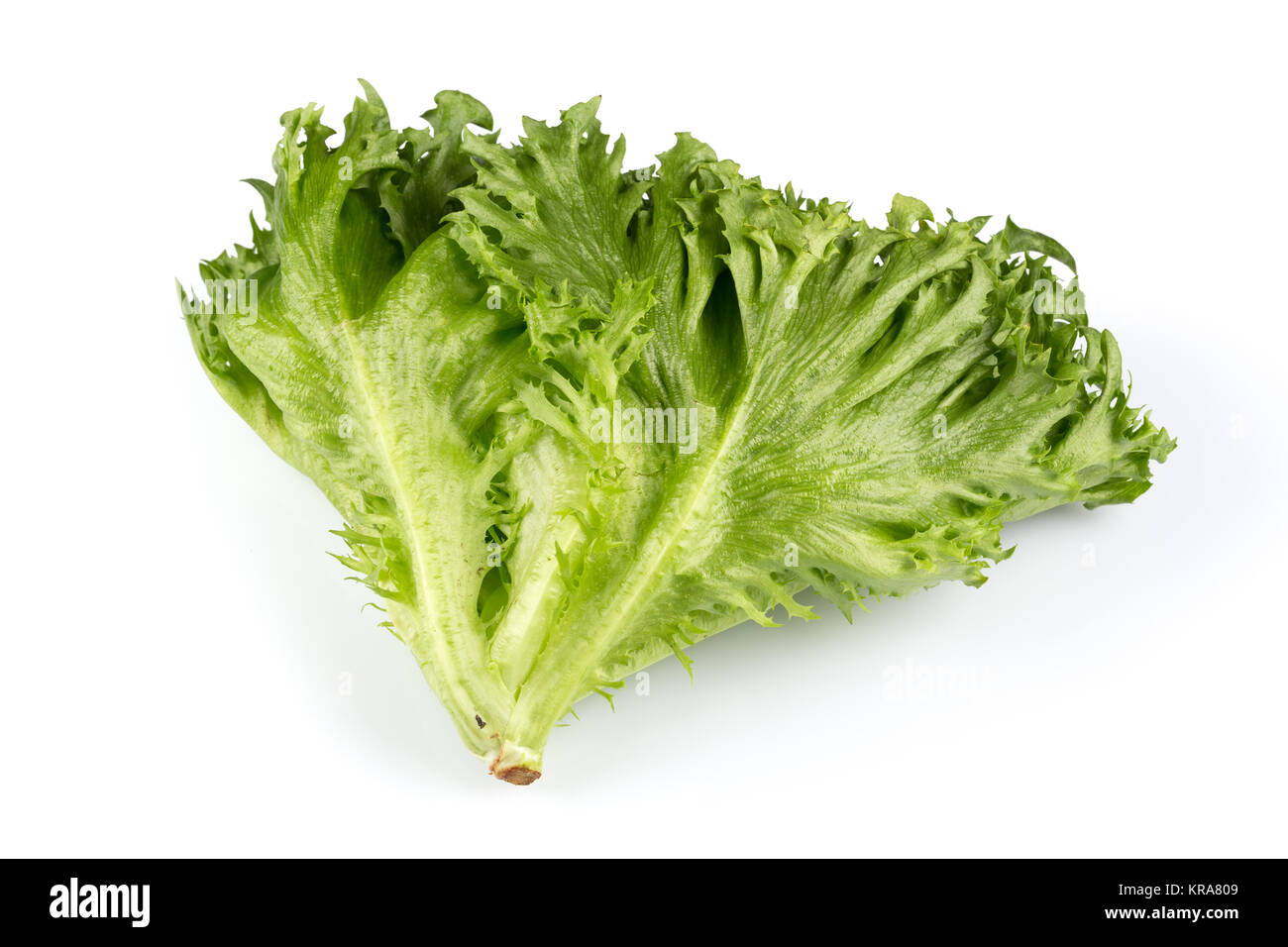 Lettuce leaves pattern Cut Out Stock Images & Pictures - Alamy