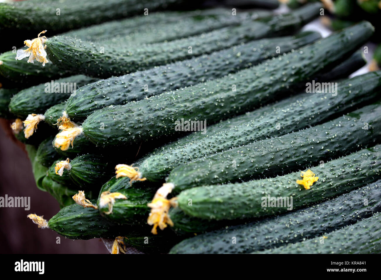 In the market sells vegetables cucumber Stock Photo - Alamy