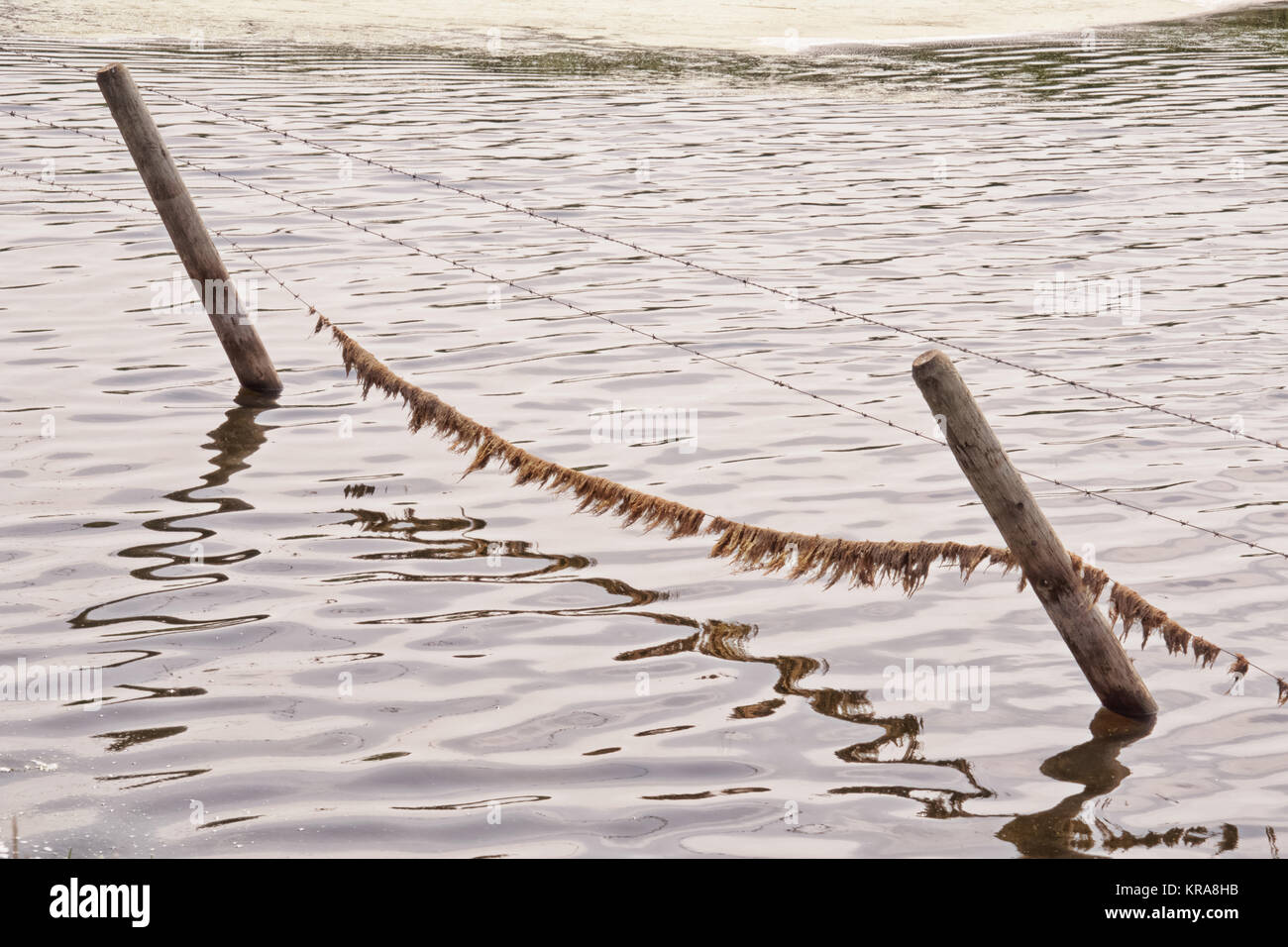 Water Submerged Fence Stock Photo - Alamy