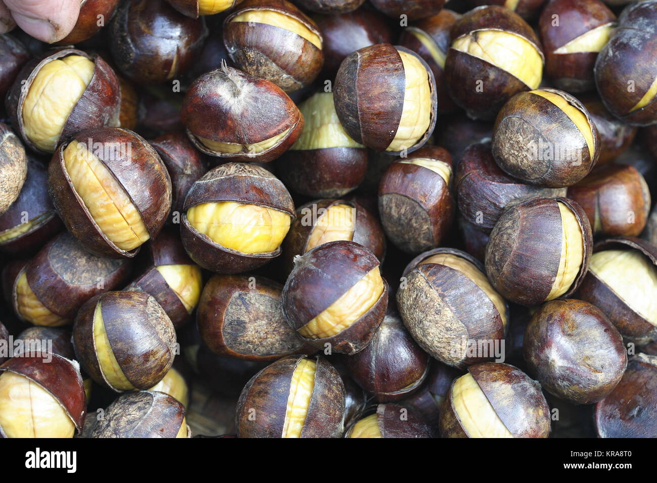 Chinese chestnut hi-res stock photography and images - Alamy