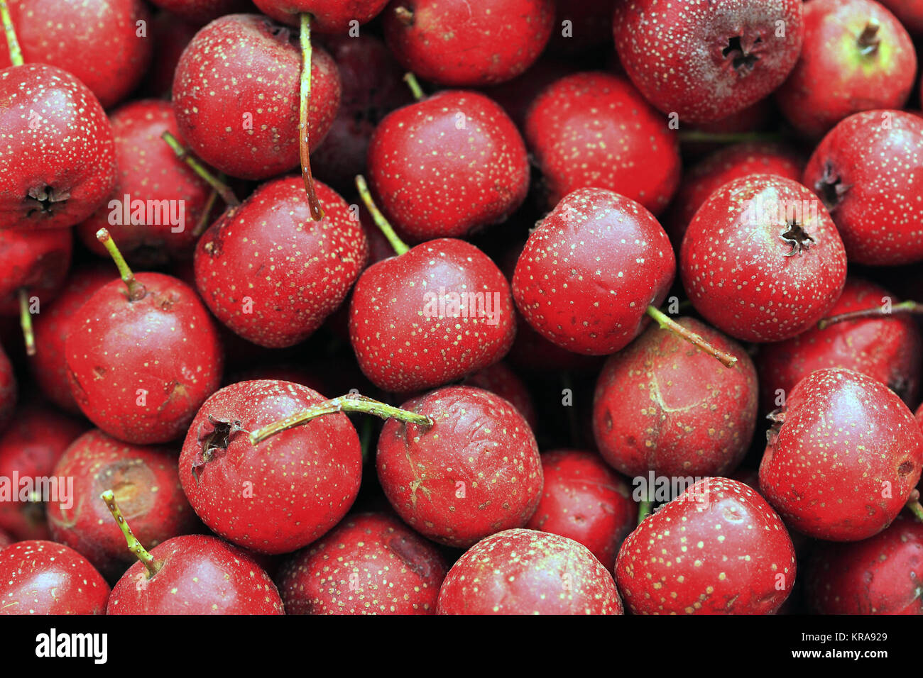 Chinese Hawthorn Fruit