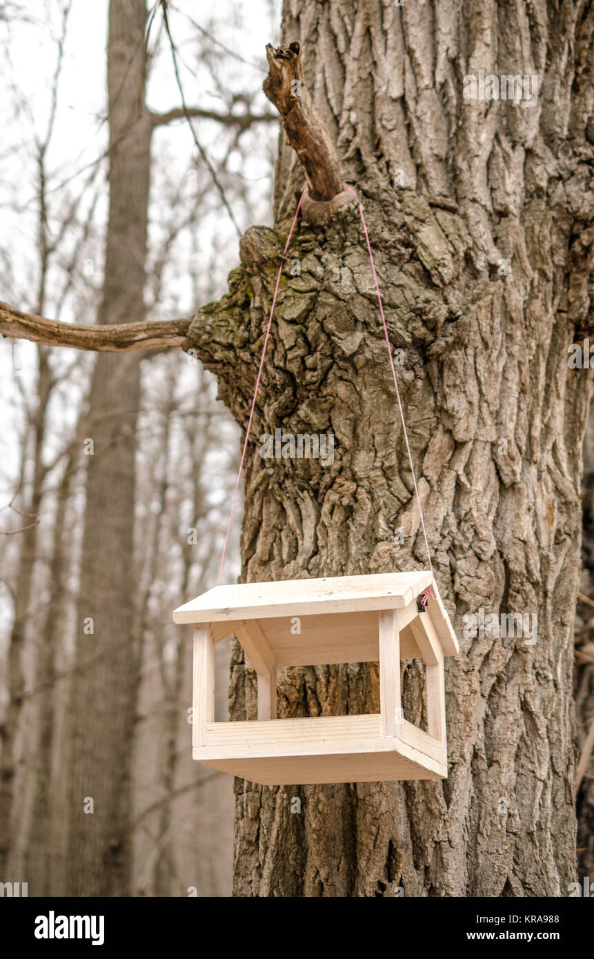 Bird Feeders Tree High Resolution Stock Photography and Images - Alamy