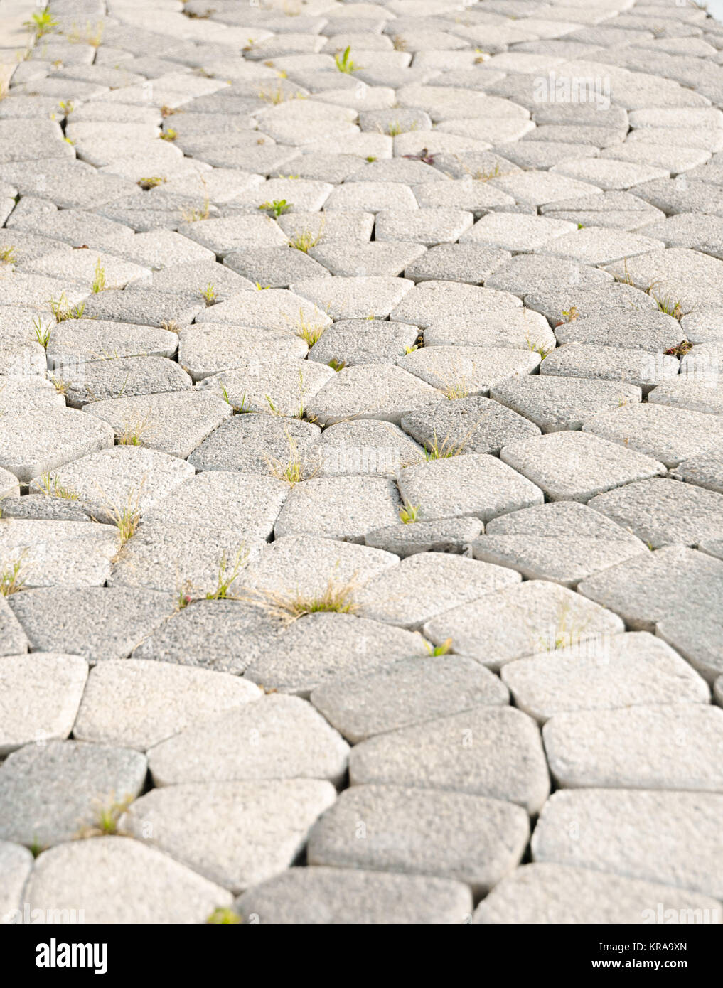 Stone paving circle texture. Abstract structured background of modern ...