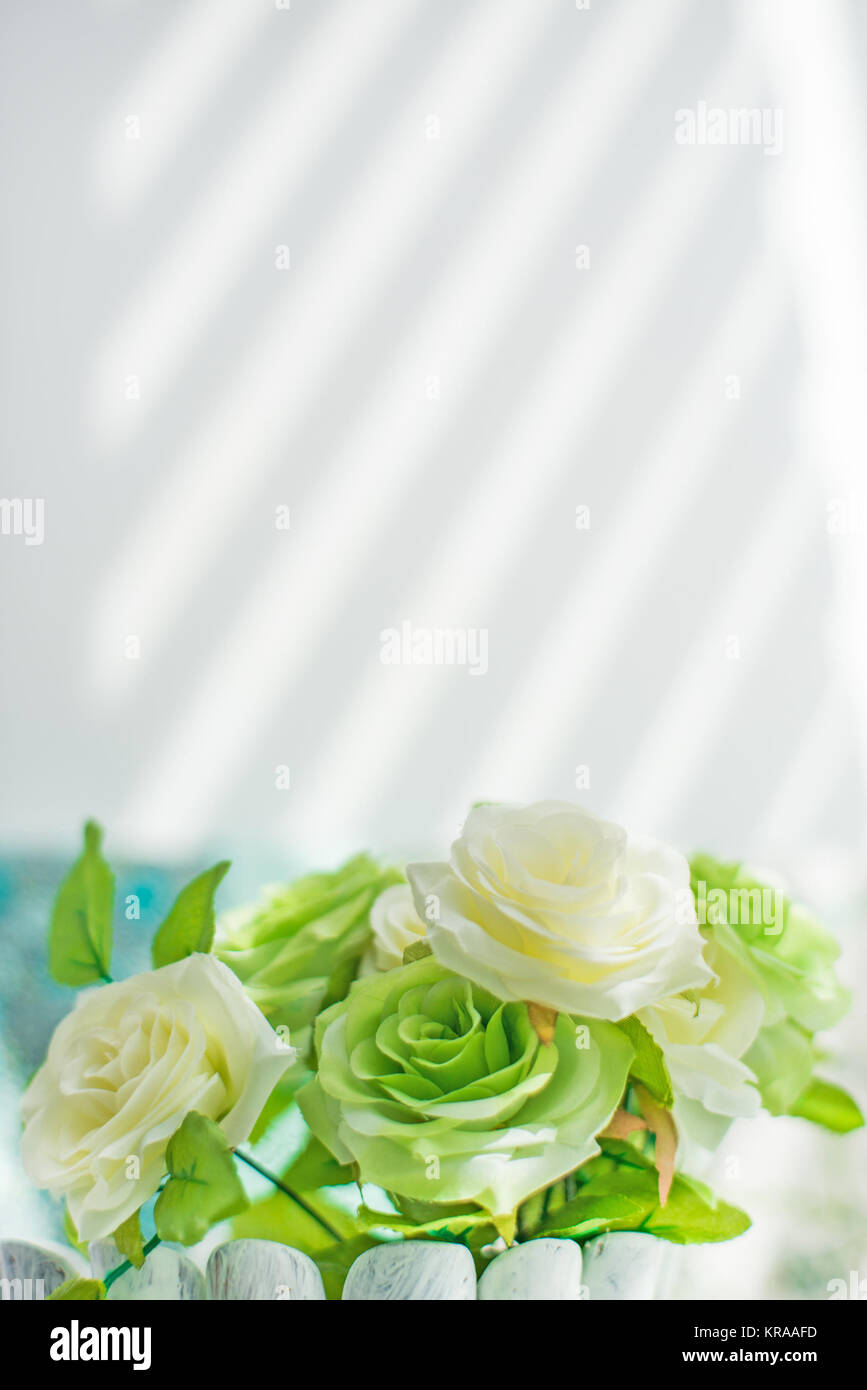 green and white roses Stock Photo - Alamy