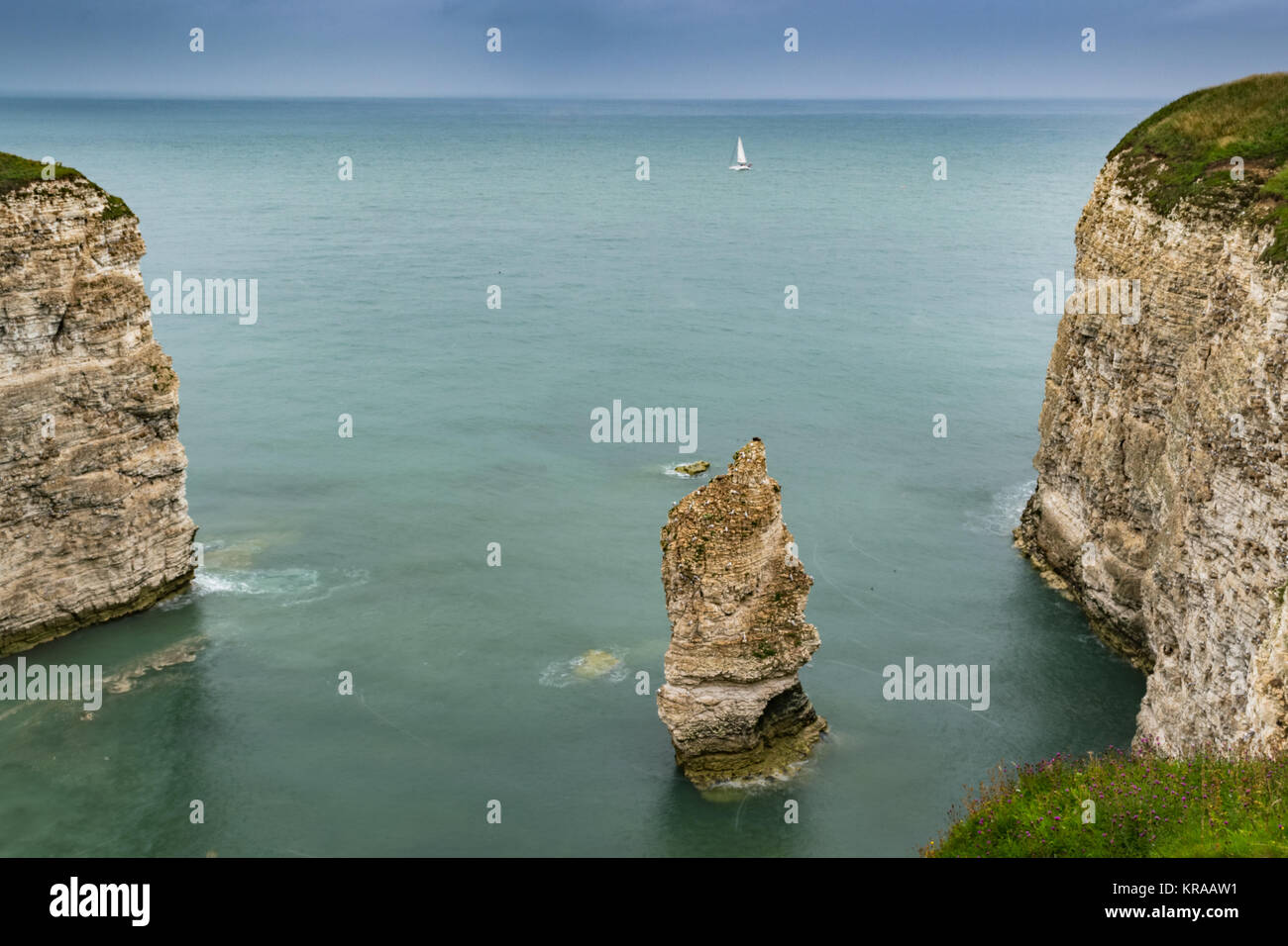 Sea Stack at Flamborough, East Yorkshire Stock Photo - Alamy