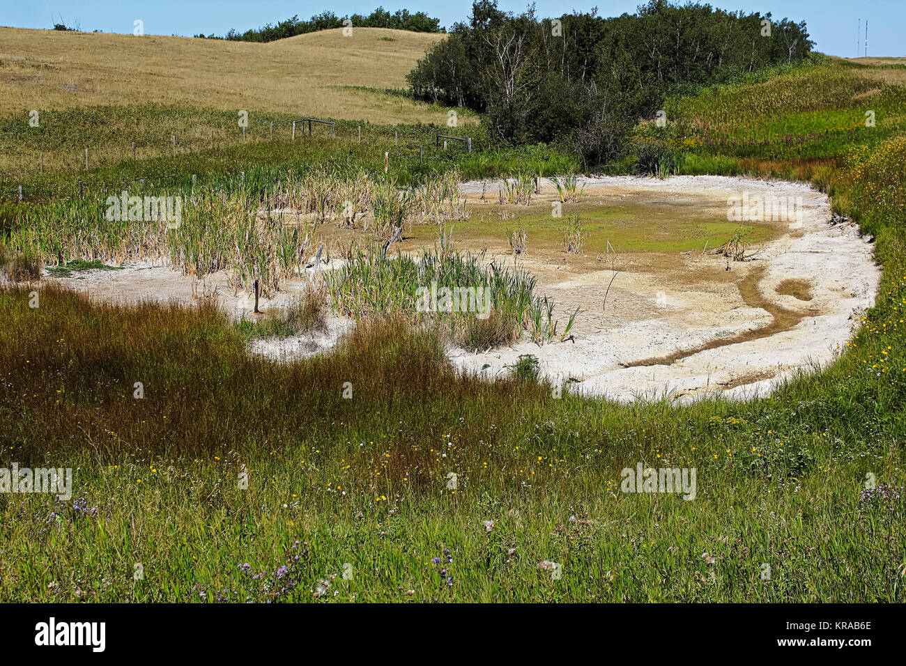 Dried up pond hi-res stock photography and images - Alamy
