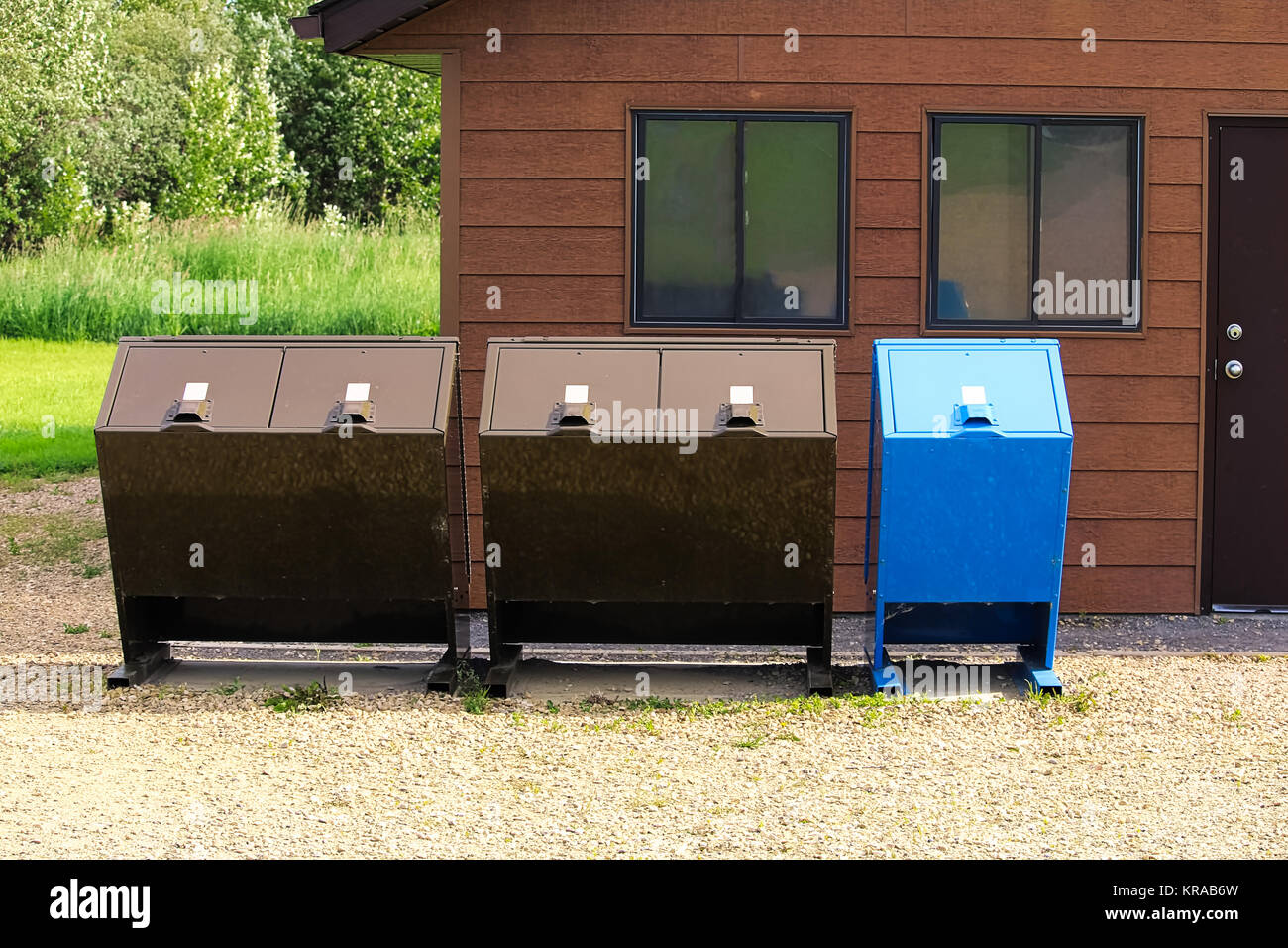 Bear With Garbage Bin High Resolution Stock Photography and Images - Alamy