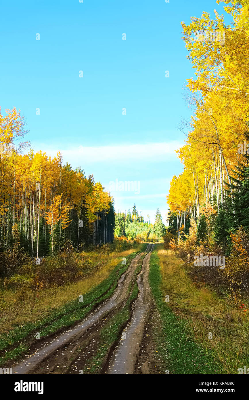 A rough road taken while hunting in fall Stock Photo - Alamy