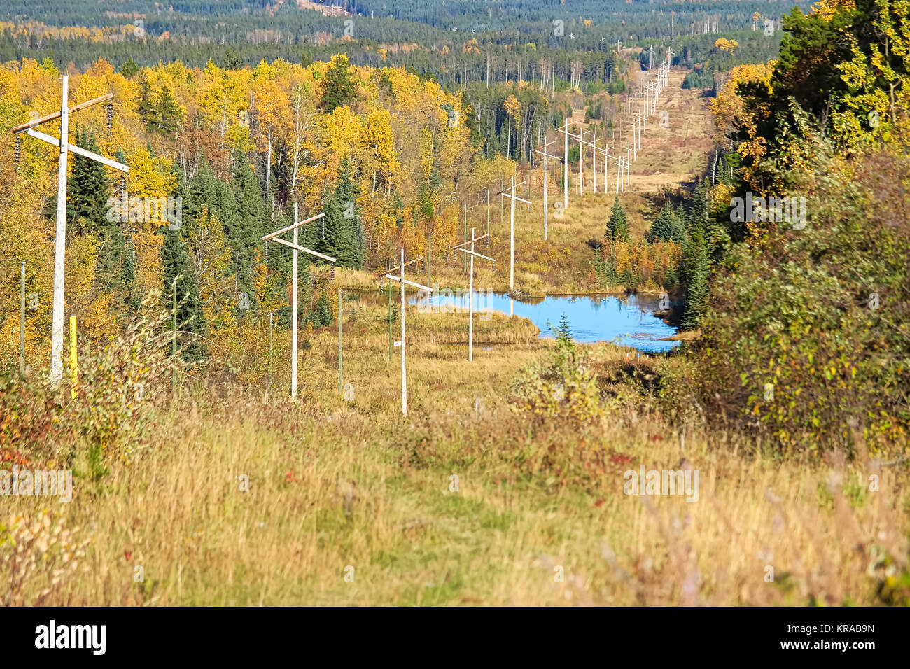 Power Line Through Forest Landscape High Resolution Stock Photography ...