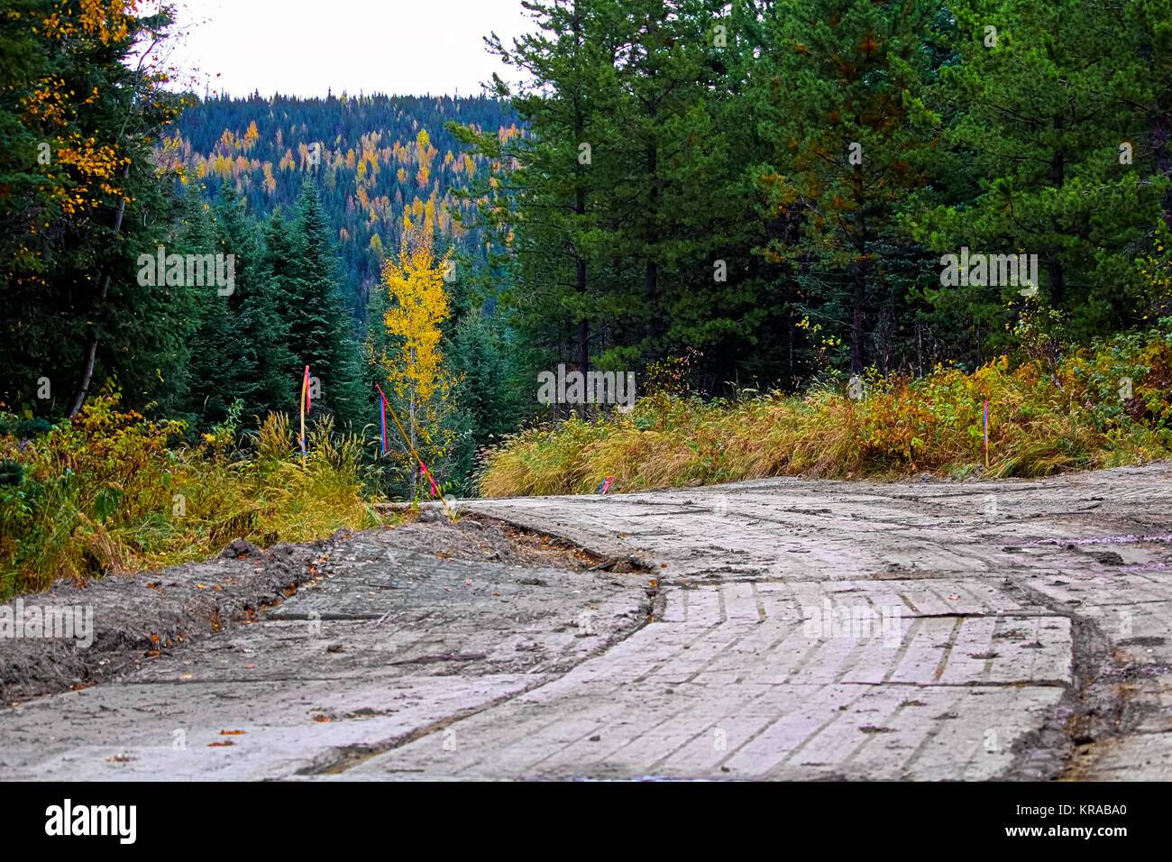 Temporary access road hi-res stock photography and images - Alamy