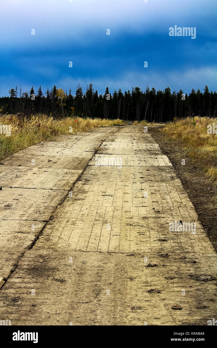 Canada muskeg swamp hi-res stock photography and images - Alamy