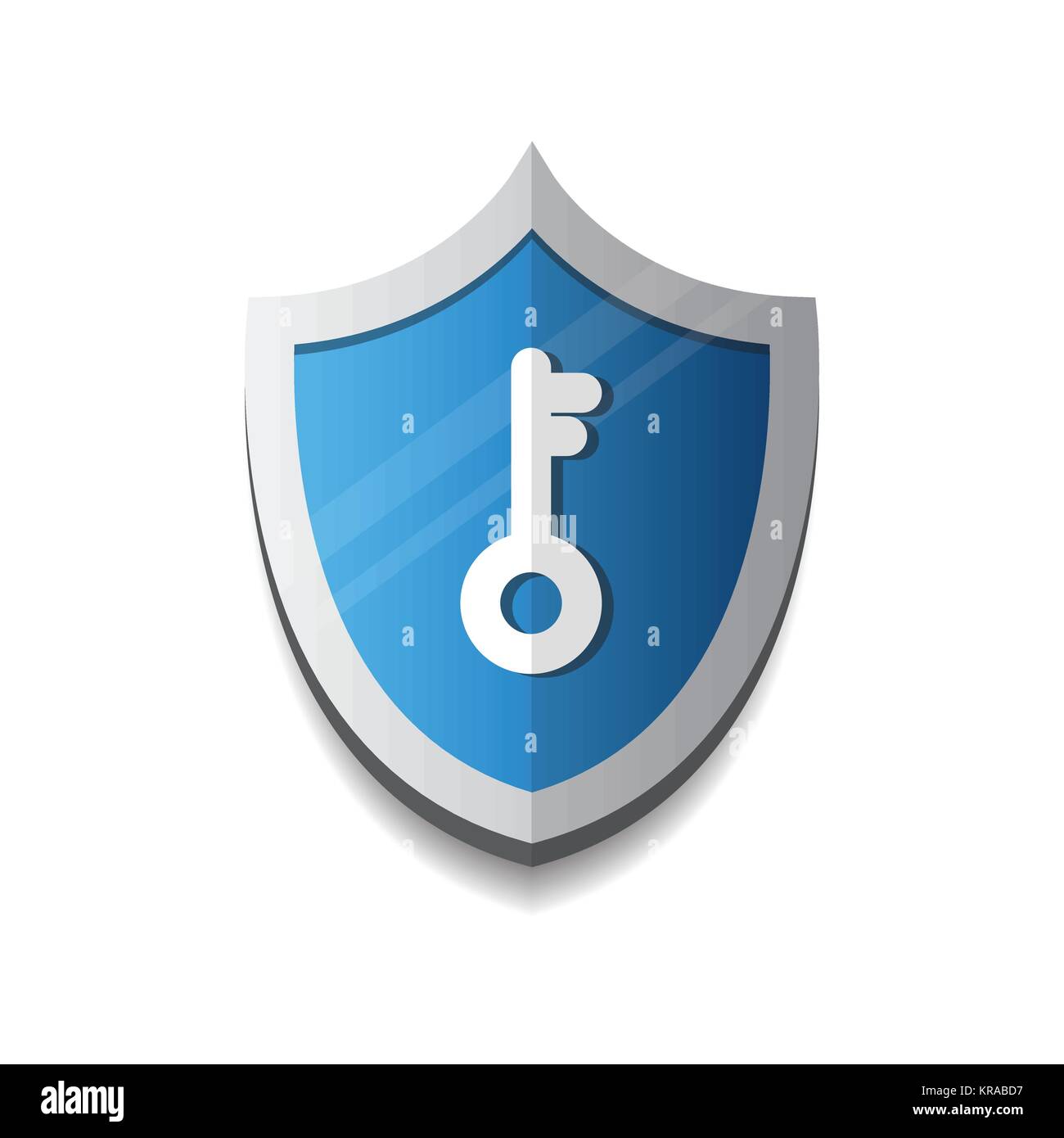 Security Key Icon