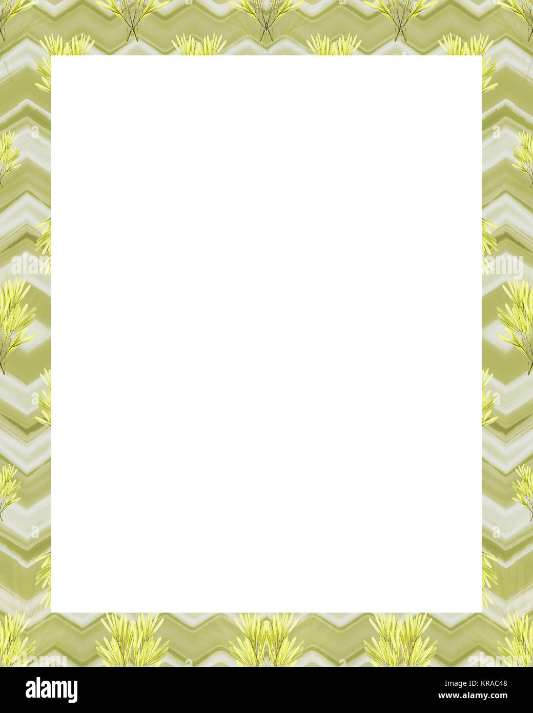 White Frame with Decorated Nature Motif Borders Stock Photo - Alamy