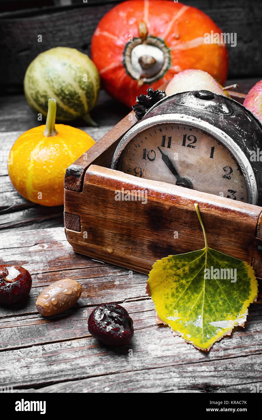 Acorn clock hi-res stock photography and images - Alamy