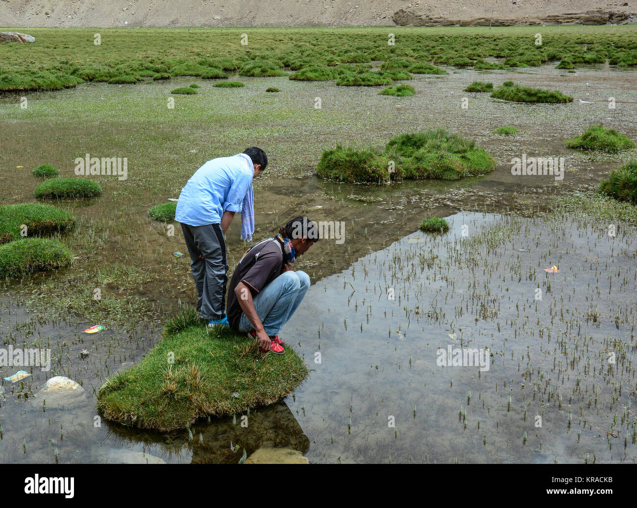 Ladakh, India - Jul 20, 2015. People visit swamp in Ladakh, India ...