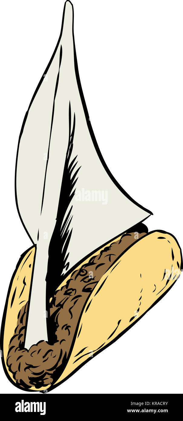 Taco food cartoon illustration Cut Out Stock Images & Pictures - Alamy