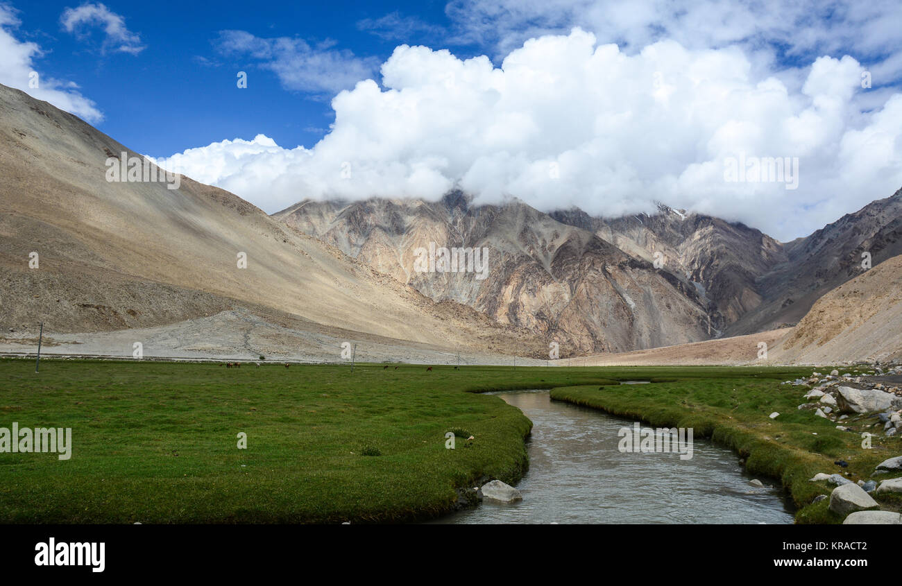 Grass field with mountains at sunny day in Ladakh, India Stock Photo ...