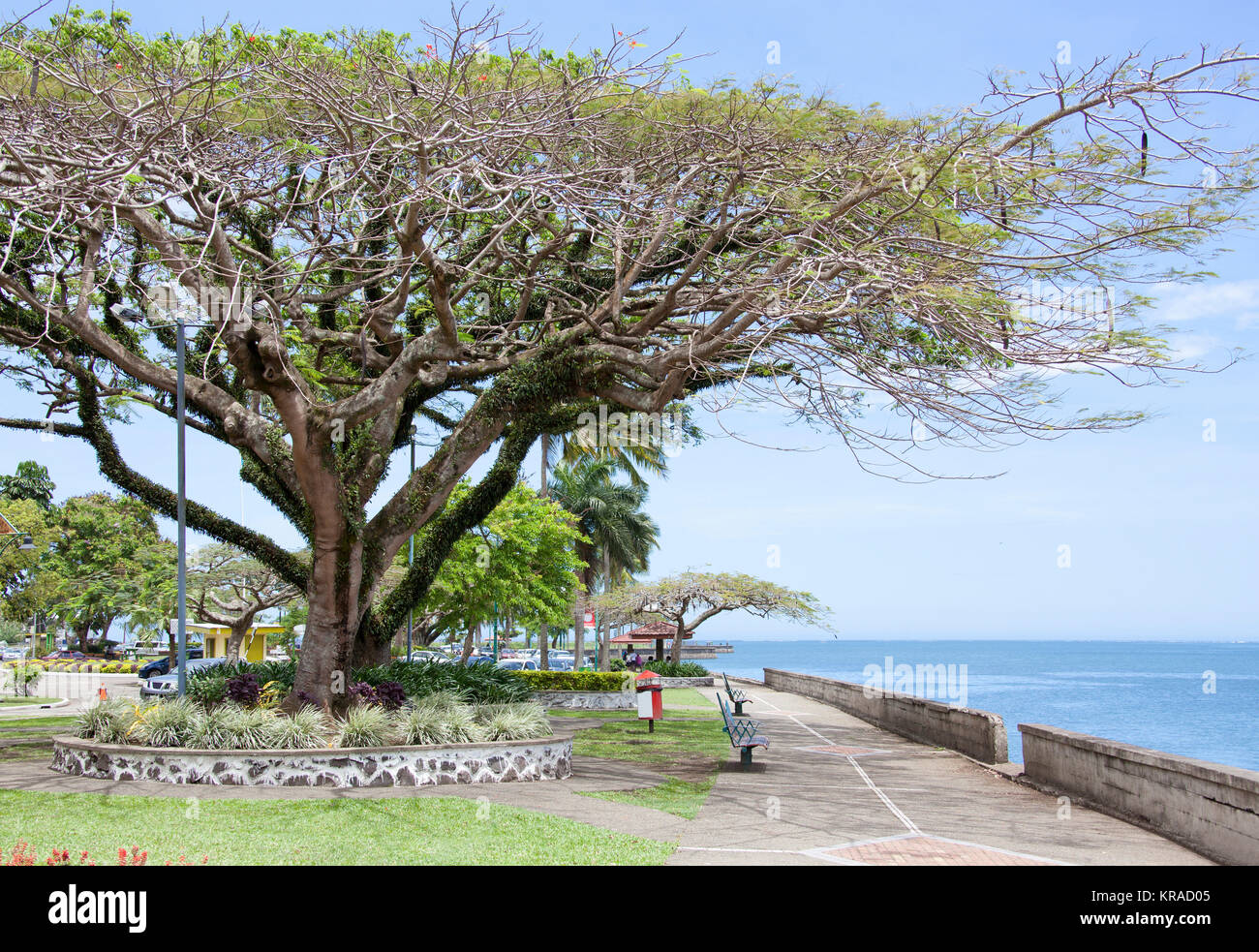 Park suva fiji hi-res stock photography and images - Alamy