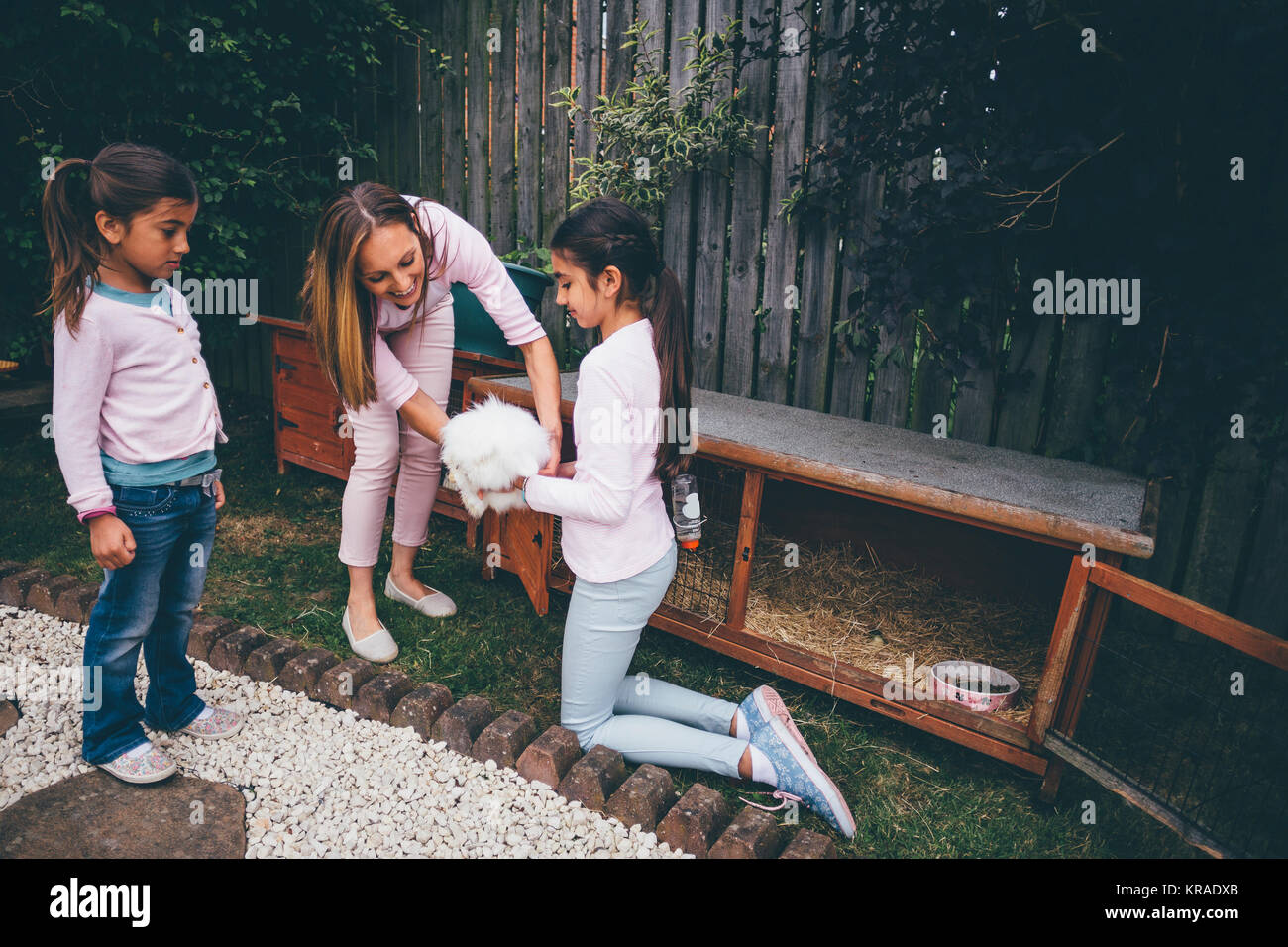 Giving the pet rabbit affection Stock Photo - Alamy