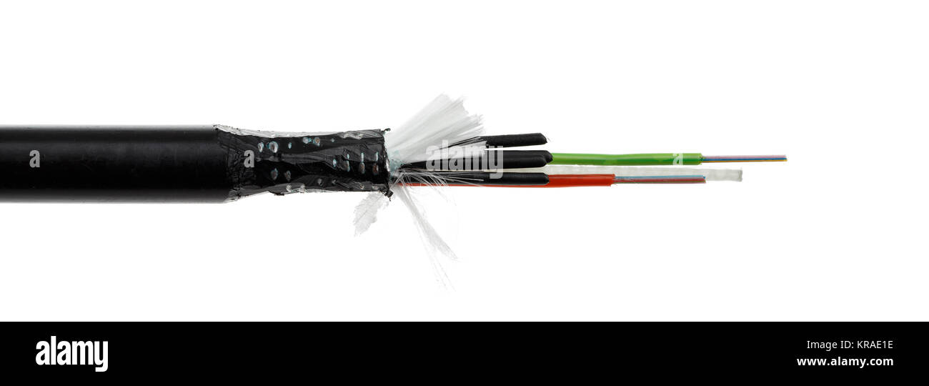 Fiber optic cable detail isolated on white Stock Photo - Alamy