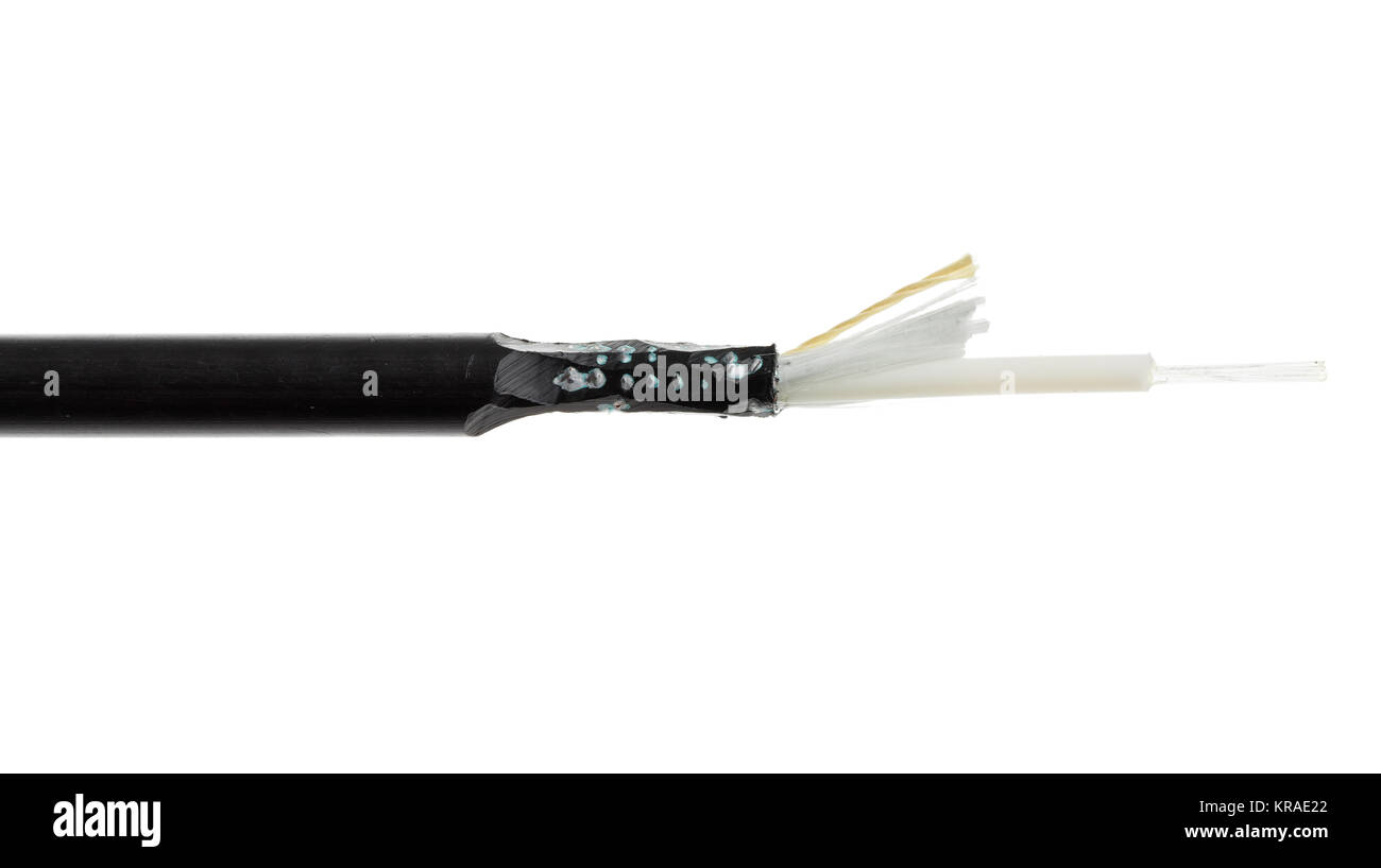 Fiber optic cable detail isolated on white Stock Photo - Alamy