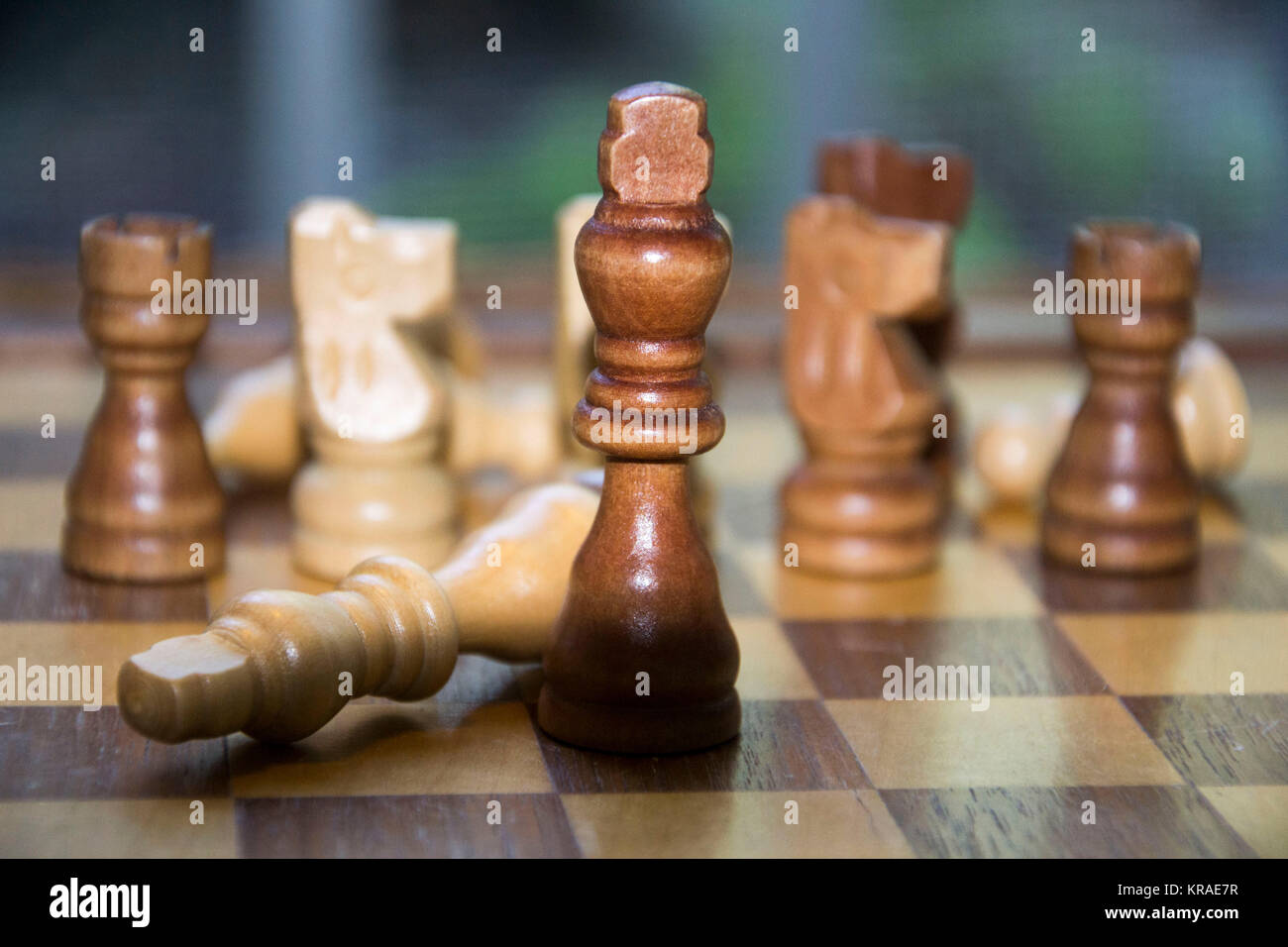 Springer schachfigur hi-res stock photography and images - Alamy