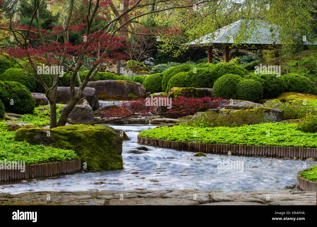 spring in the japanese garden Stock Photo - Alamy