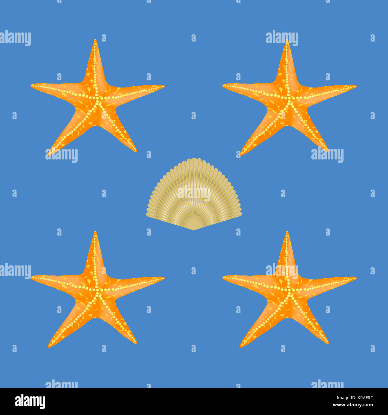 Mollusk armor hi-res stock photography and images - Alamy