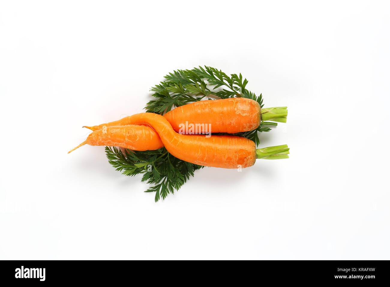 two twisted carrots Stock Photo - Alamy
