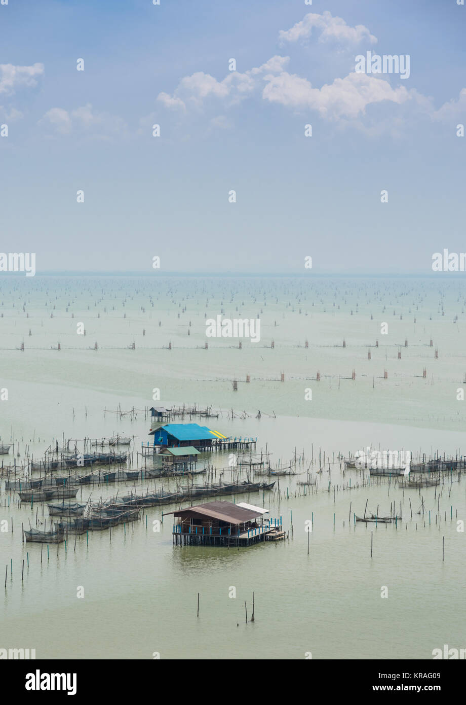 Fish farming in thailand hi-res stock photography and images - Alamy