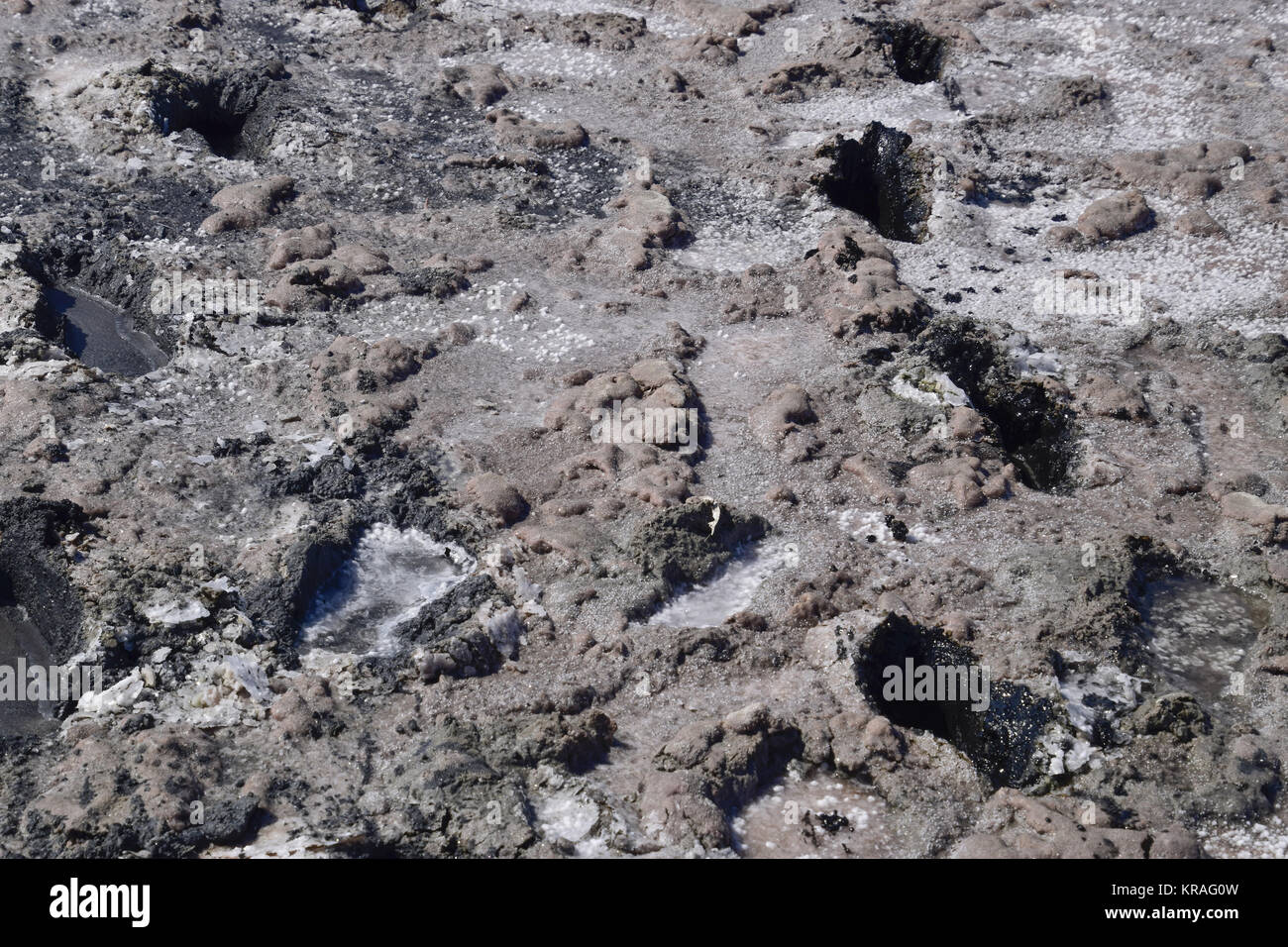 Traces of human feet in the salt lake mud Stock Photo - Alamy