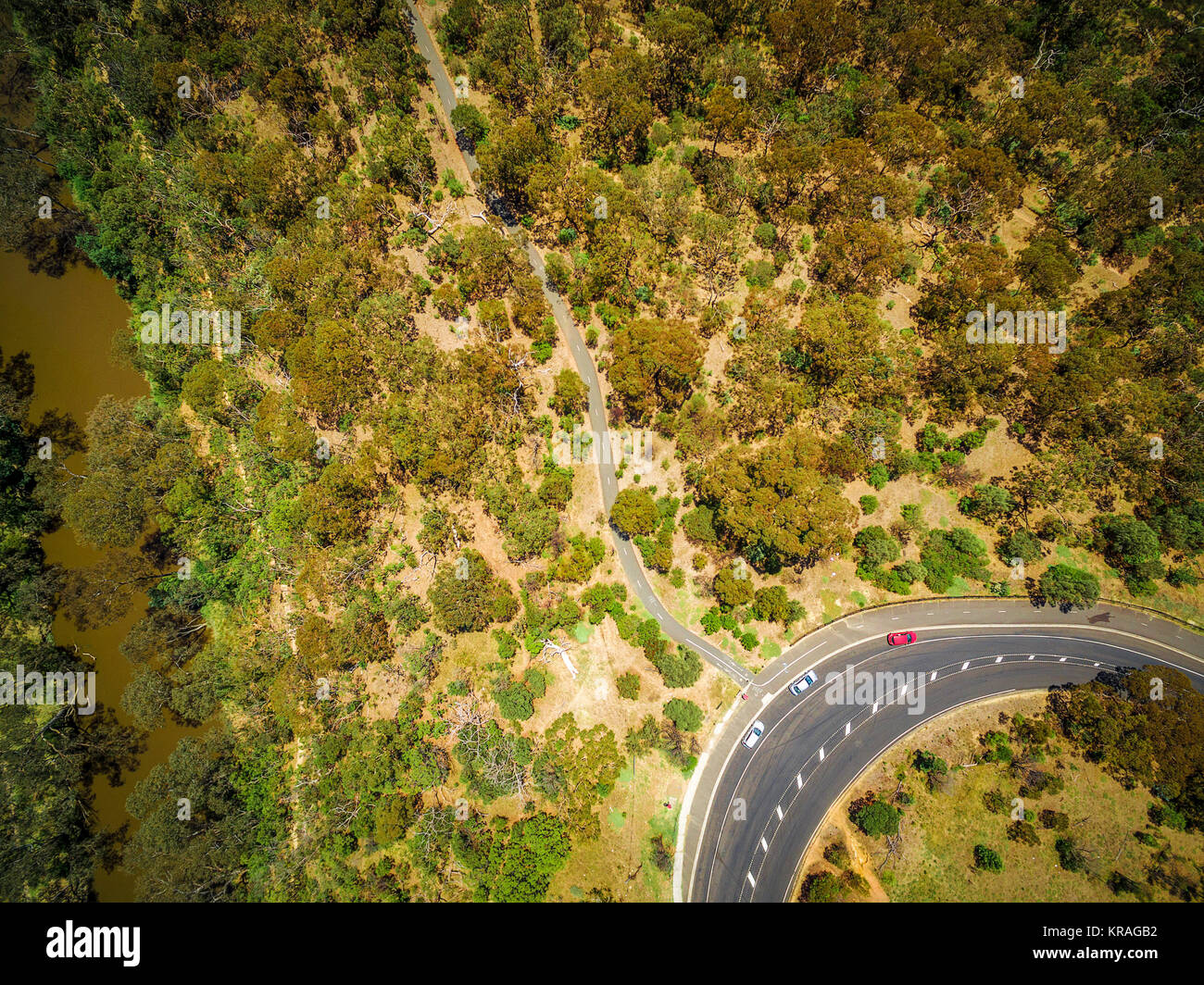 Aerial view looking down at road bend, trees, and park Stock Photo - Alamy