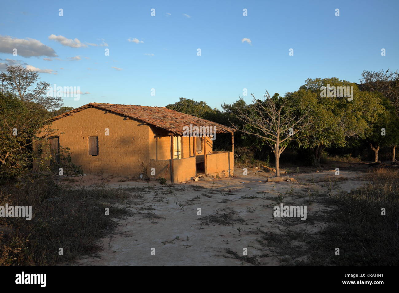 lonely village in the caatinga of brazil Stock Photo - Alamy