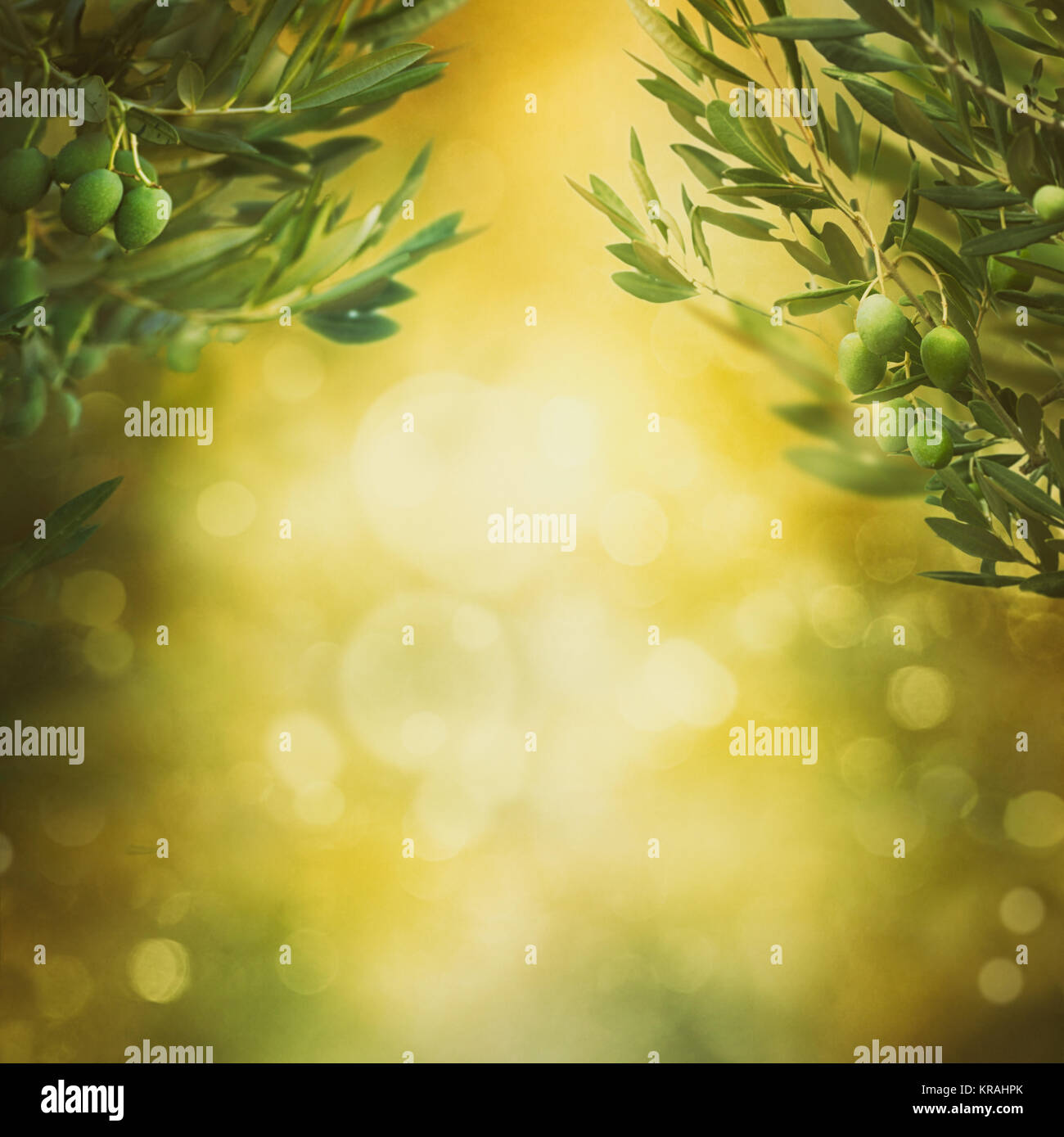 Olive garden restaurant sunset hi-res stock photography and images - Alamy