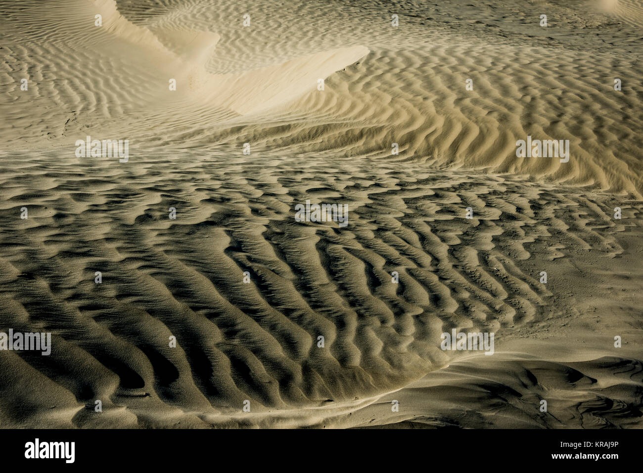 Details of wind drift patterns on large sand dune at Great Sand Hills ...