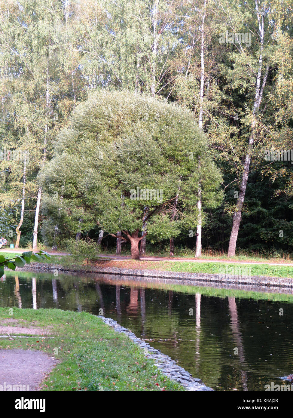 Pond park road hi-res stock photography and images - Alamy